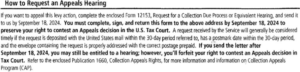 IRS Notice LT11: What It Is and How to Respond - Choice Tax Relief